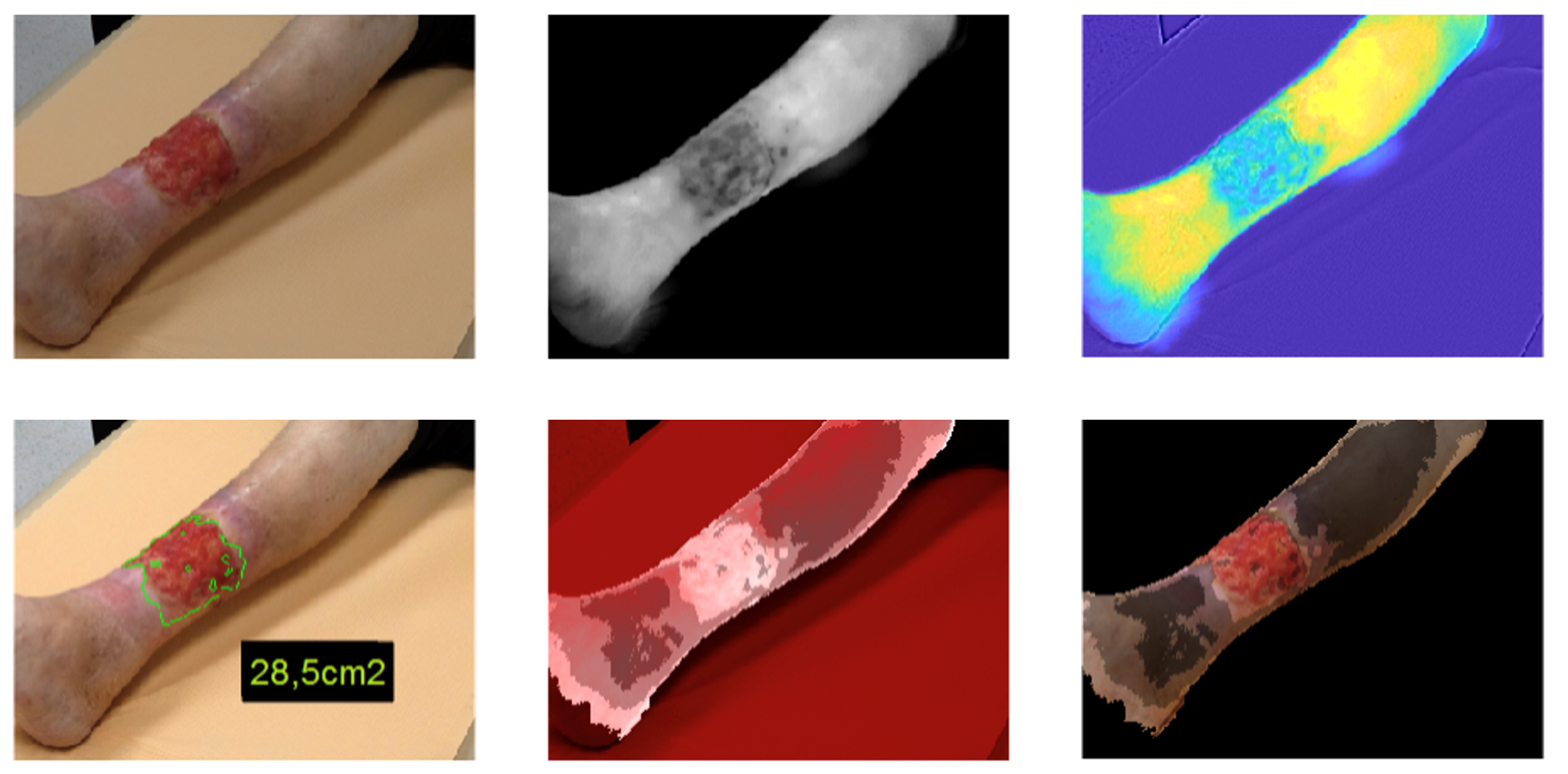 Ultrasound Lab - EHTIC